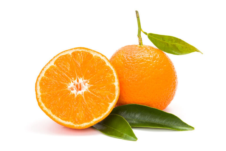 Fotolia_78355939_S (1) - Citrus Plus Inc.