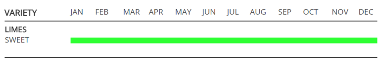 OUR FRUIT - Citrus Plus Inc.